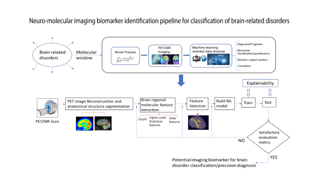 Research – WangLab
