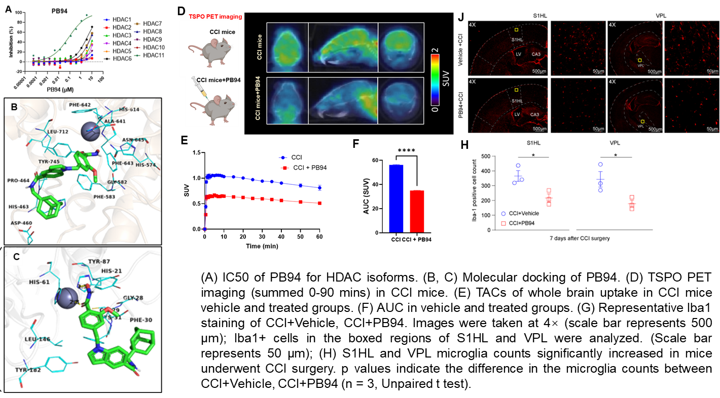 Research – WangLab